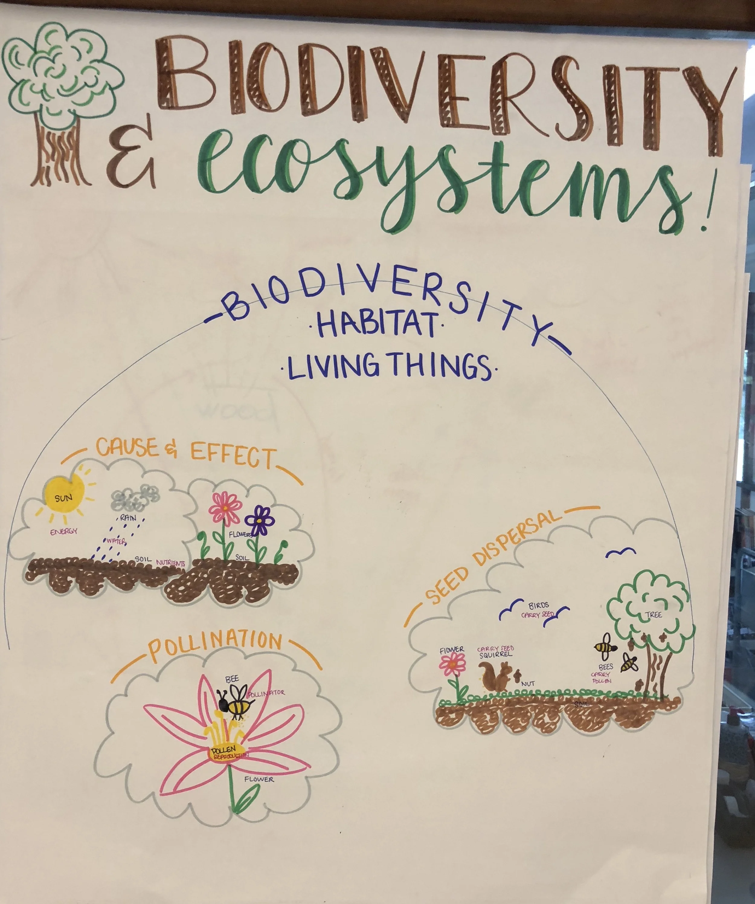 Biodiversity and Ecosystems — The Wonder of Science