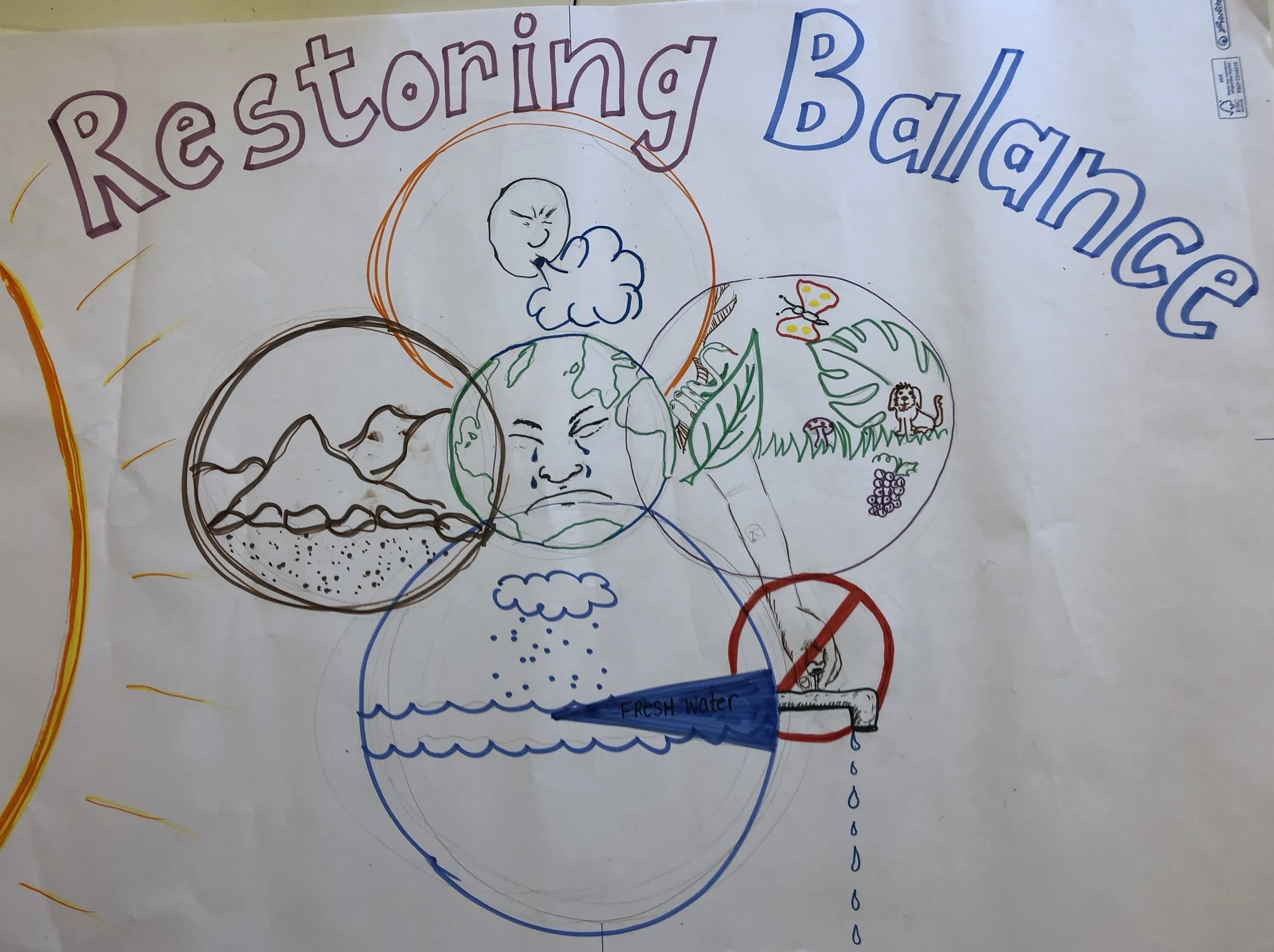 5-ESS2-2 — The Wonder of Science