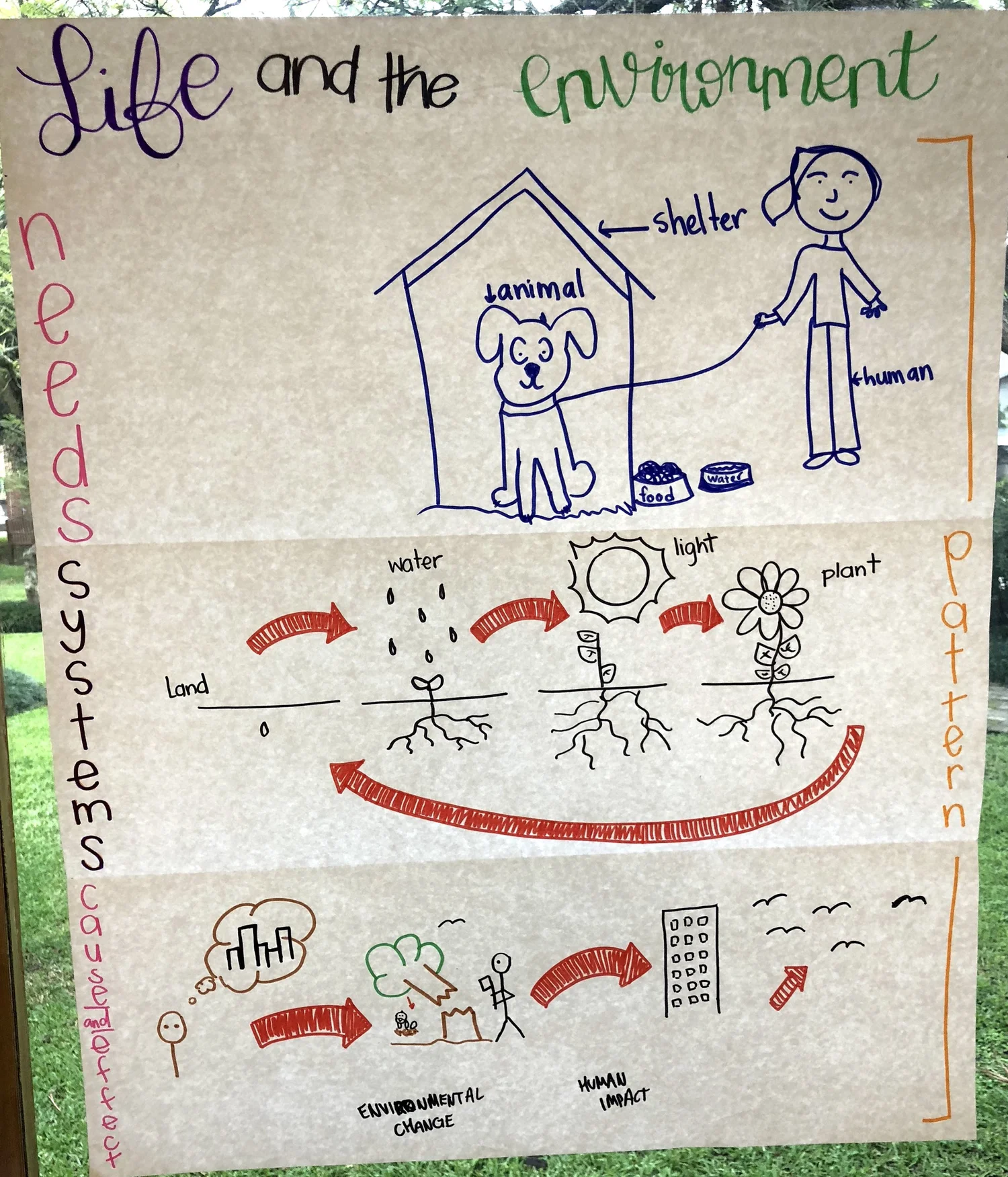 Life and the Environment — The Wonder of Science