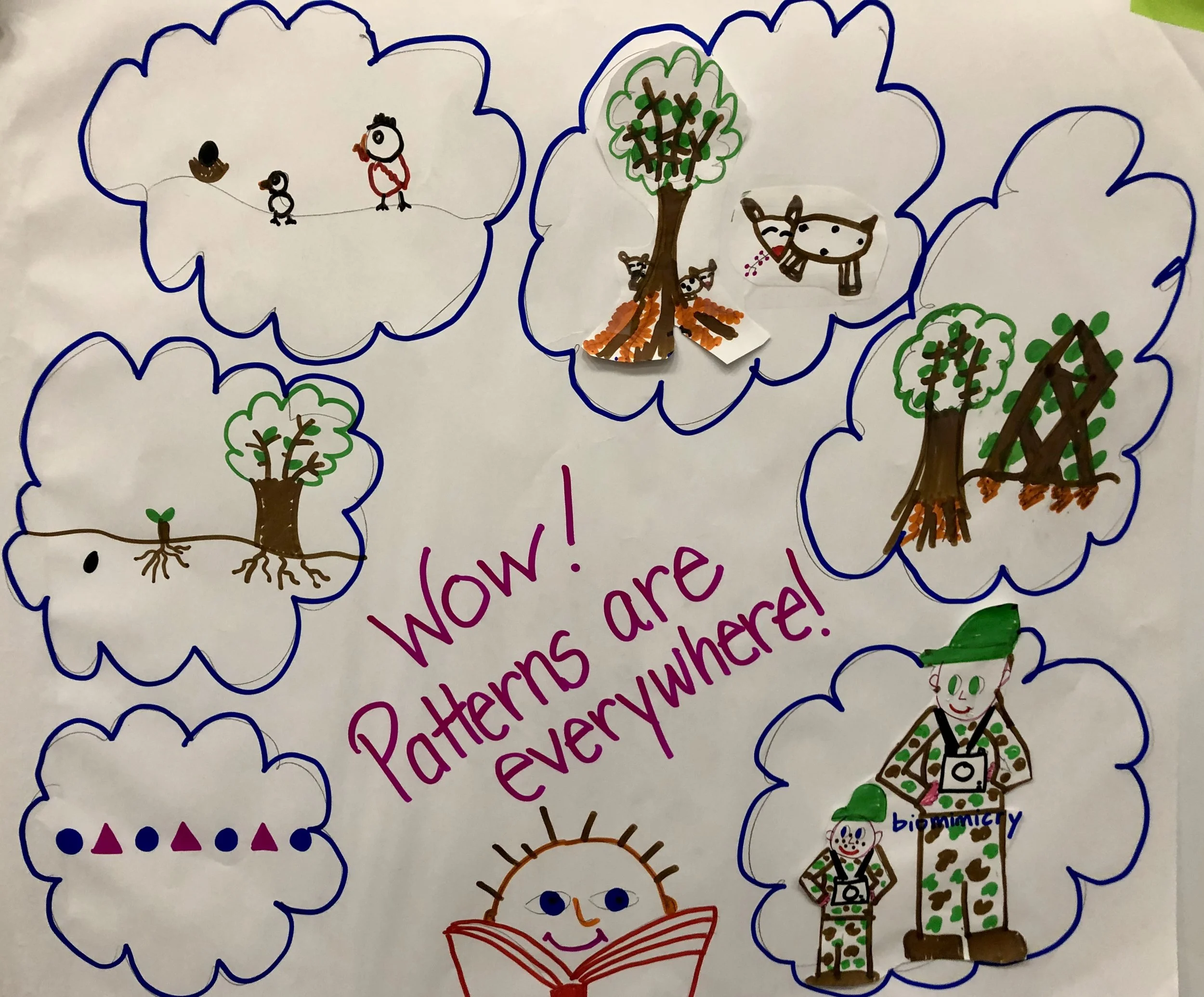 1-LS3-1 — The Wonder of Science