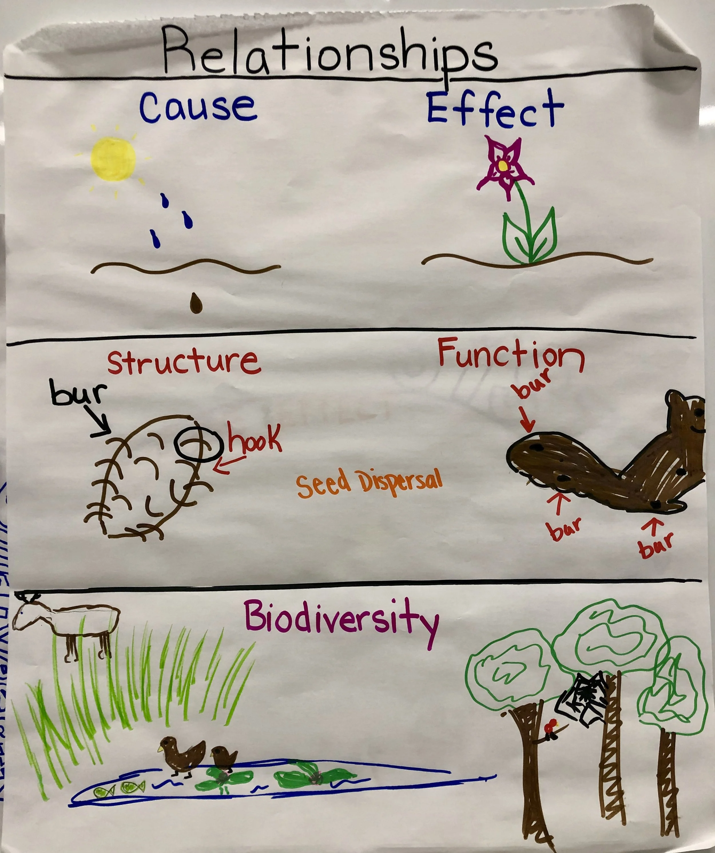 2-LS2-2 — The Wonder of Science