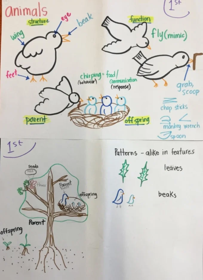 Life: Structures and Functions — The Wonder of Science