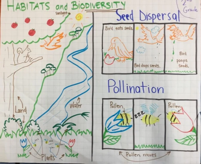 Biodiversity and Ecosystem — The Wonder of Science