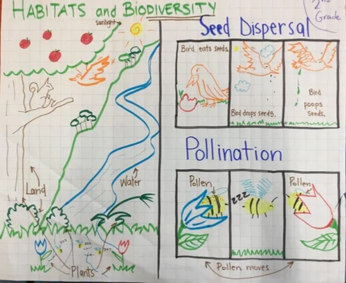 Biodiversity and Ecosystem — The Wonder of Science