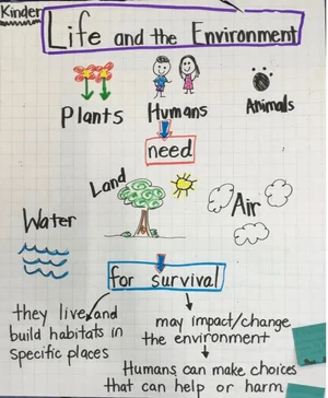 Life and the Environment — The Wonder of Science
