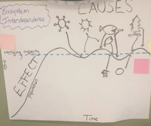Carrying Capacity Ecosystem