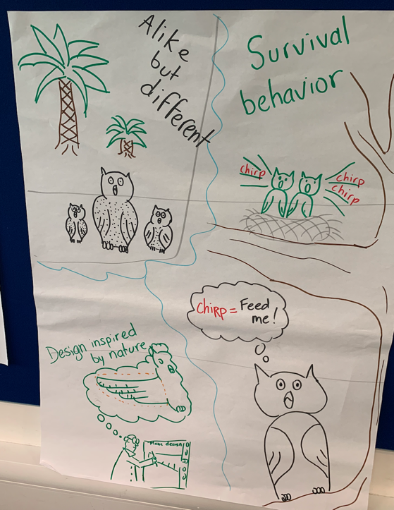 Structures and Function — The Wonder of Science