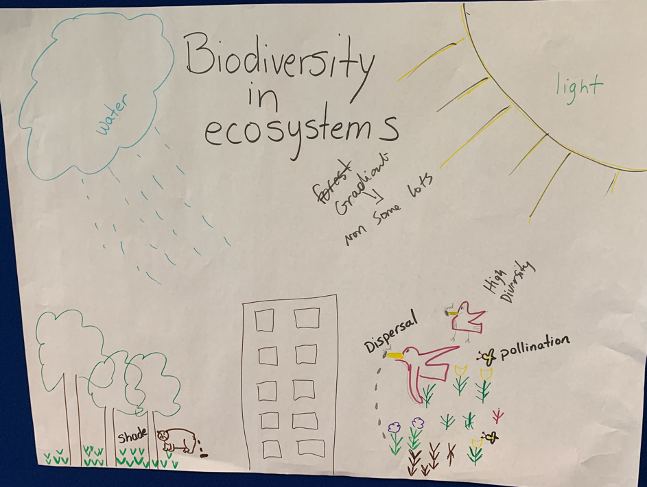 Biodiversity and Ecosystems — The Wonder of Science