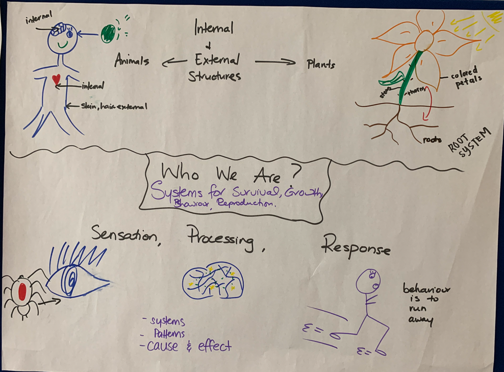 Anchor Chart — Instructional Resources — The Wonder of Science
