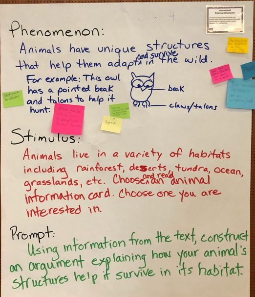 Animal Structures — The Wonder of Science