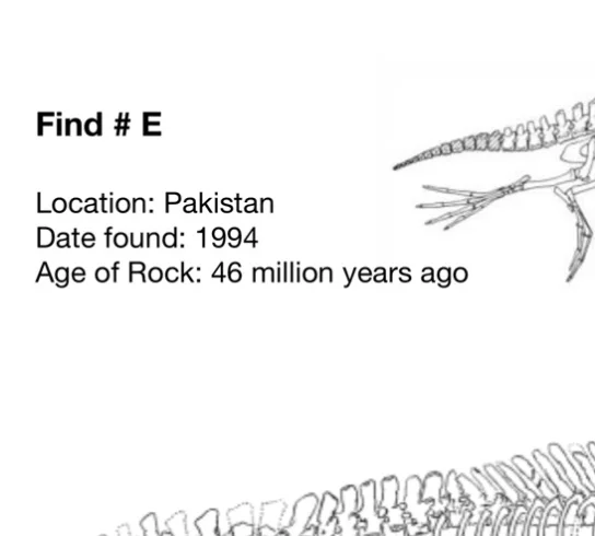 MS-LS4-2 — The Wonder of Science