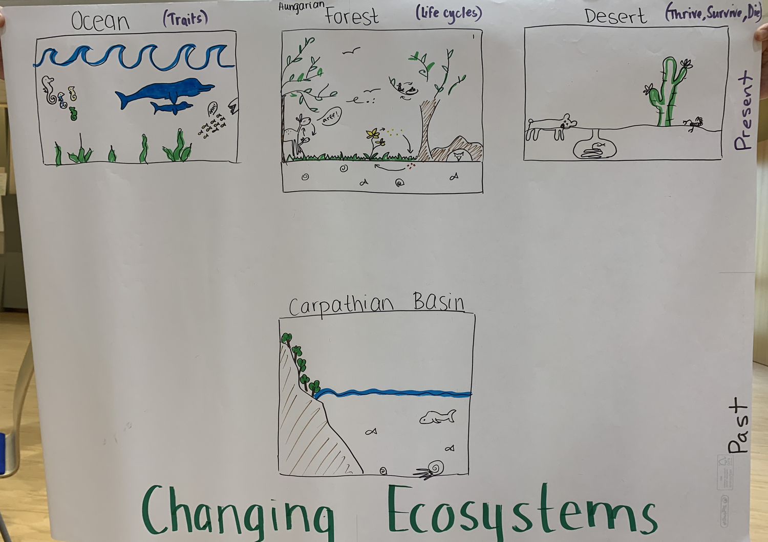 Changing Ecosystems — The Wonder of Science