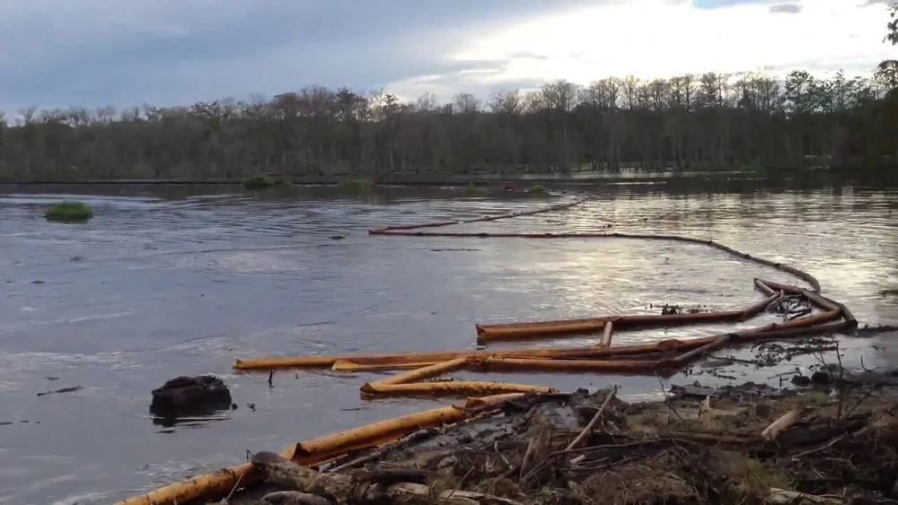 The Disappearing Forest — The Wonder of Science