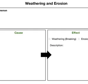 Rock and Fossil Layers Graphic Organizer (Student Version) — The Wonder ...