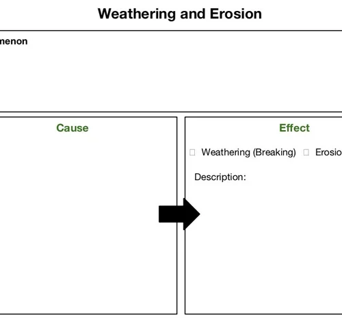 Rock and Fossil Layers Graphic Organizer (Student Version) — The Wonder ...