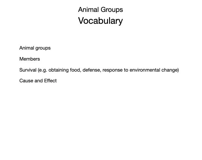 Vocabulary - Animal Groups — The Wonder of Science