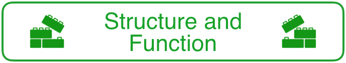 CCC6: Structure and Function — The Wonder of Science