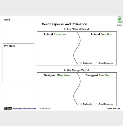 Seed Dispersal and Pollination Graphic Organizer (Student Version ...