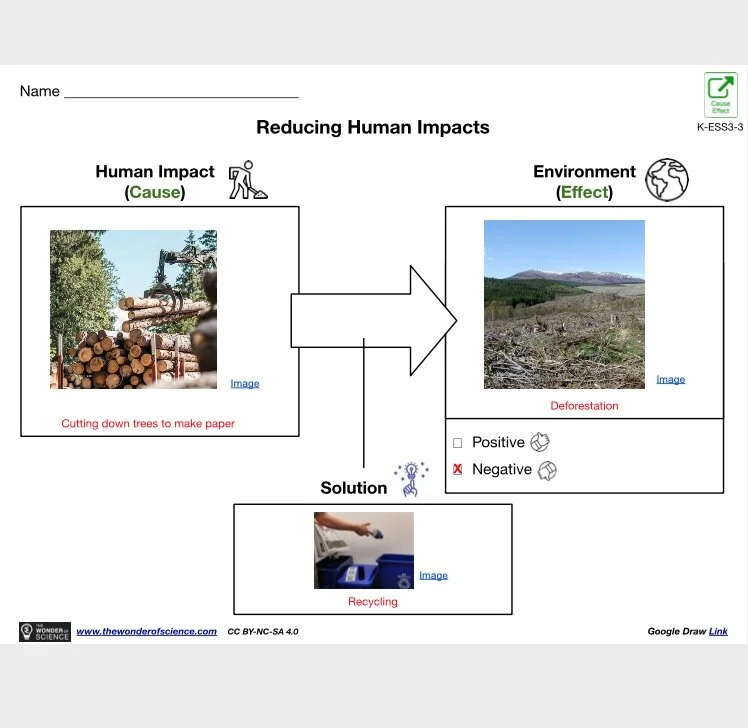 Reducing Human Impacts Graphic Organizer (Teacher Version) — The Wonder ...