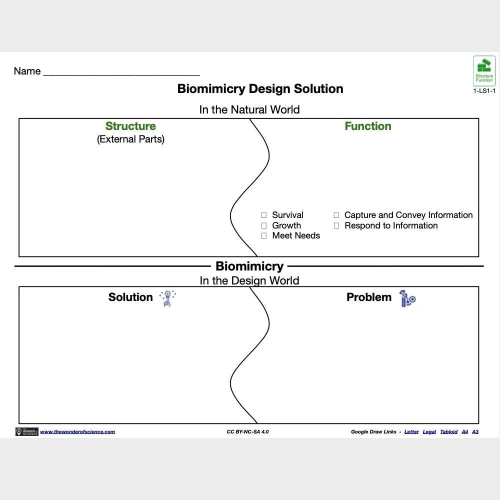 Biomimicry Design Solution Graphic Organizer (Student Version) — The ...