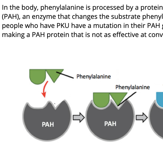 PKU Genetics — The Wonder of Science