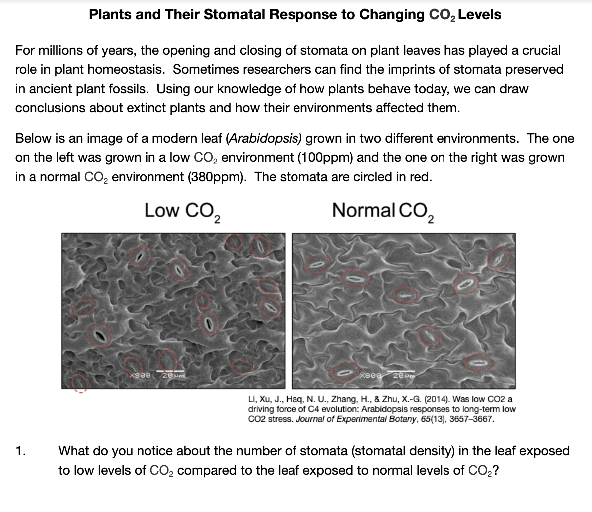 HS-LS1-3 — The Wonder of Science