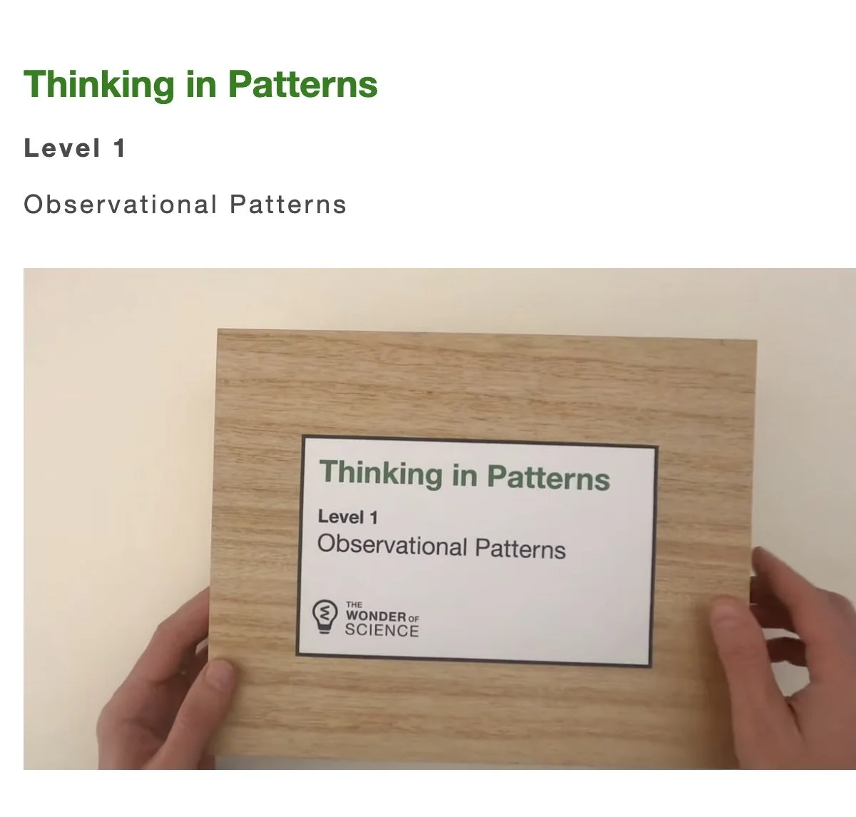 Patterns Level 1 - Observational Patterns Mini-Lesson — The Wonder of ...