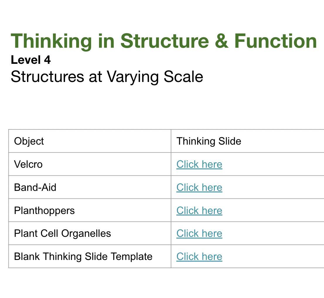 Structure & Function Level 4 - Structures at Varying Scale Thinking ...