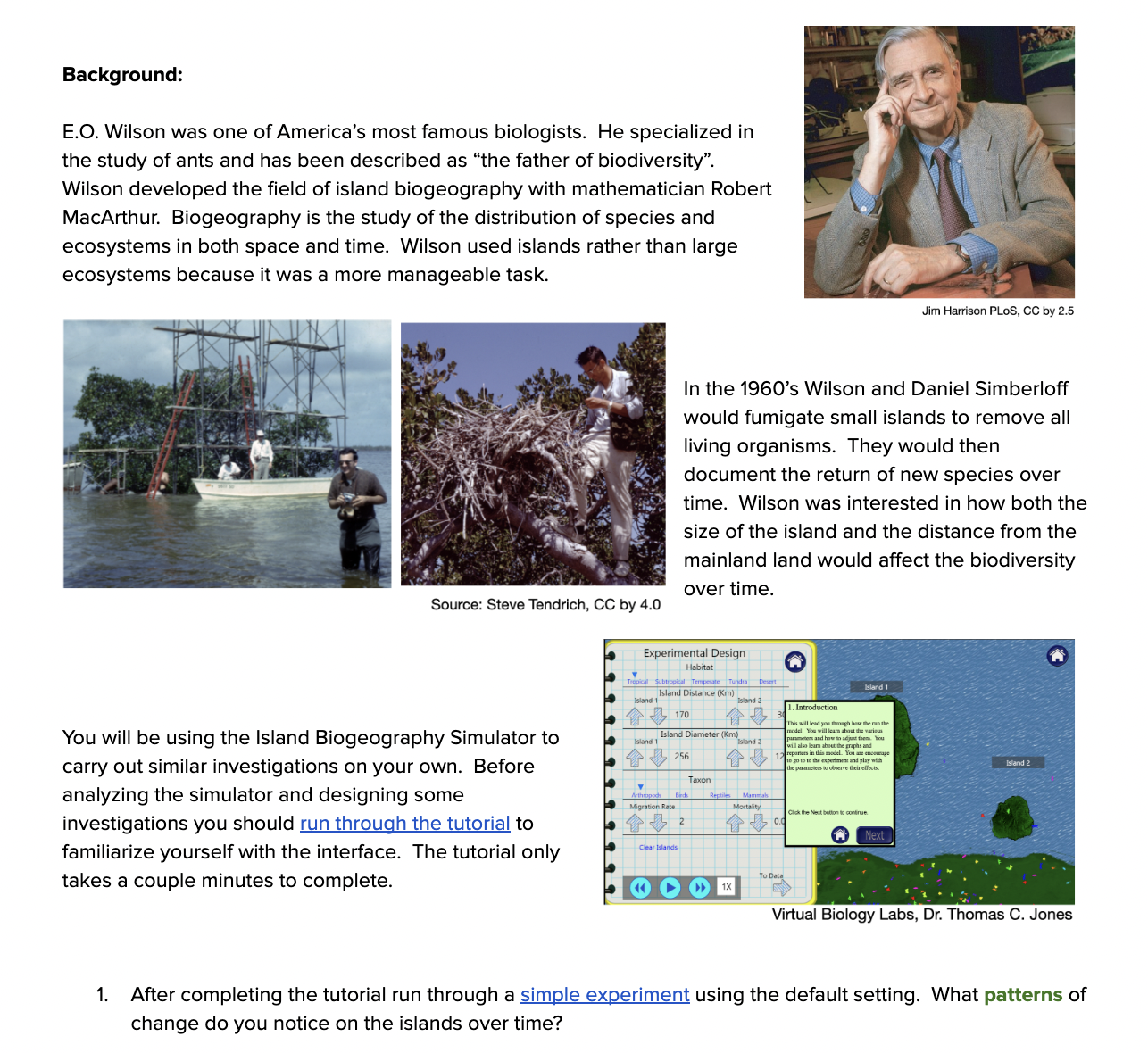 HS-LS2-1 — The Wonder of Science