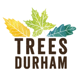 Tree Keepers — Keep Durham Beautiful