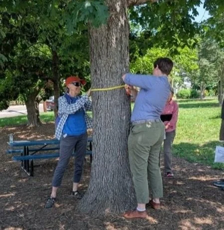 Helping Shape Durham's Urban Forest and Future - Volunteer Today ...
