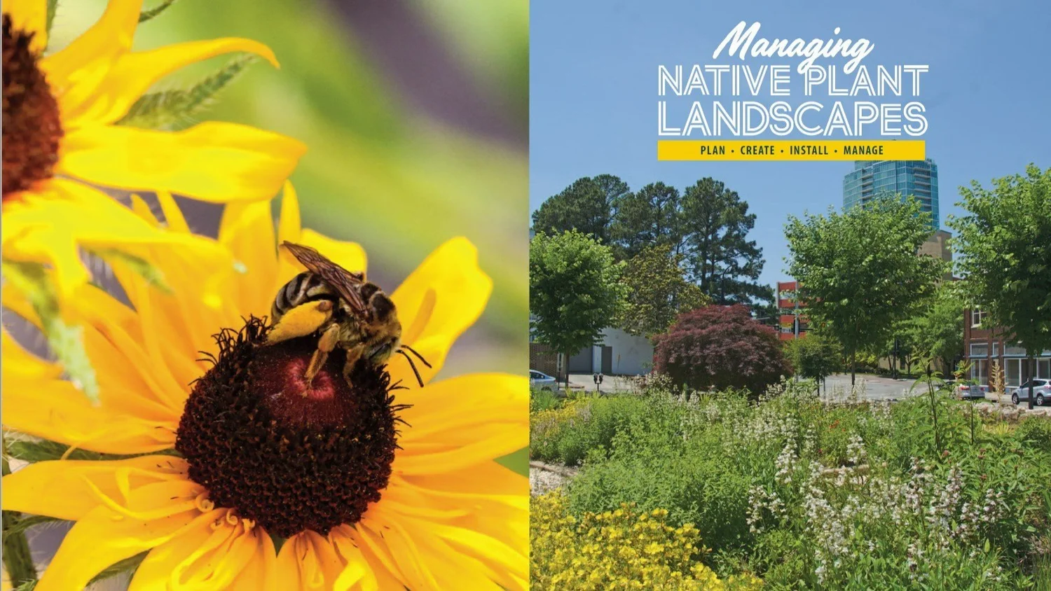 Managing Native Plant Landscapes — Keep Durham Beautiful