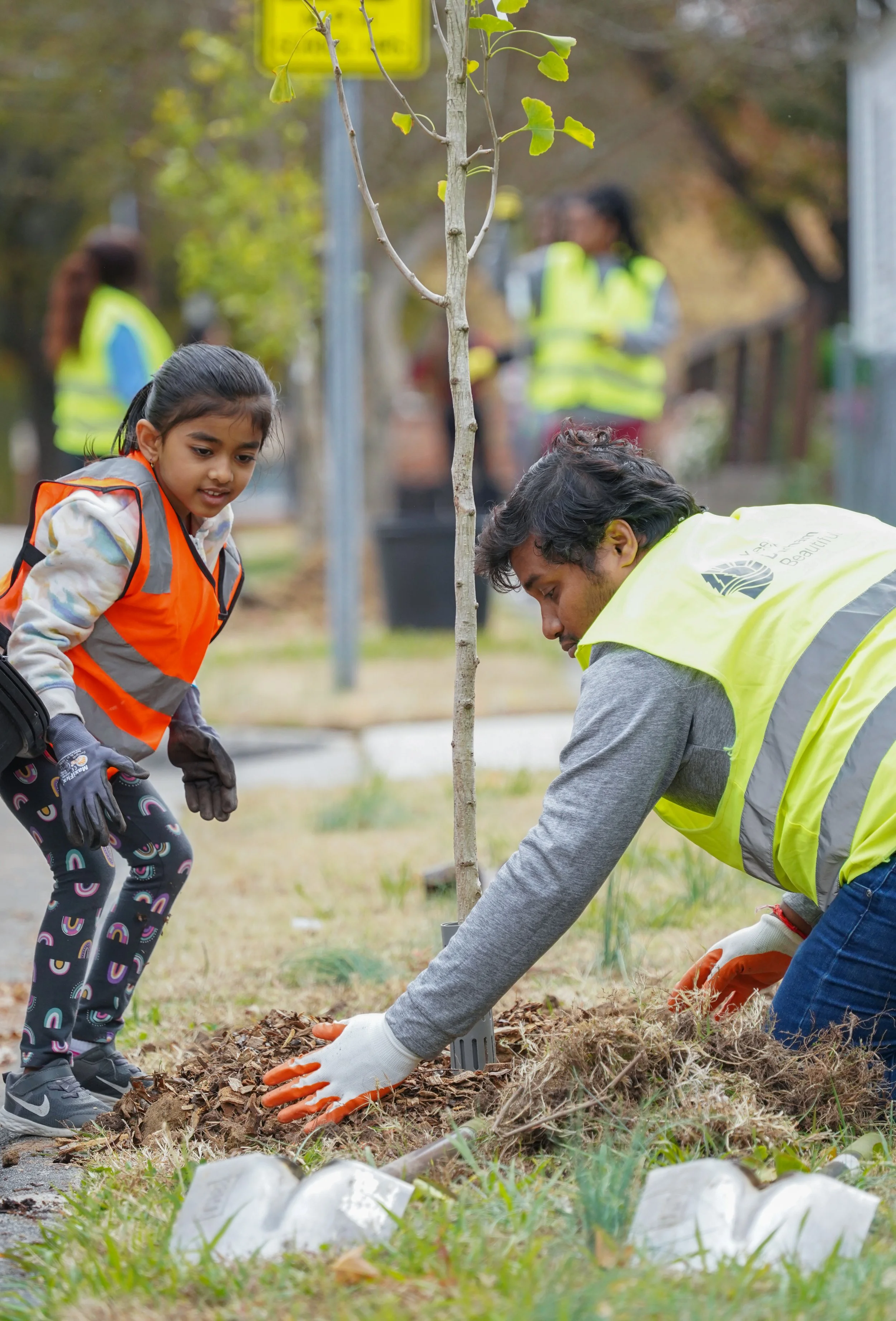 How to: Plant a Tree — Keep Durham Beautiful