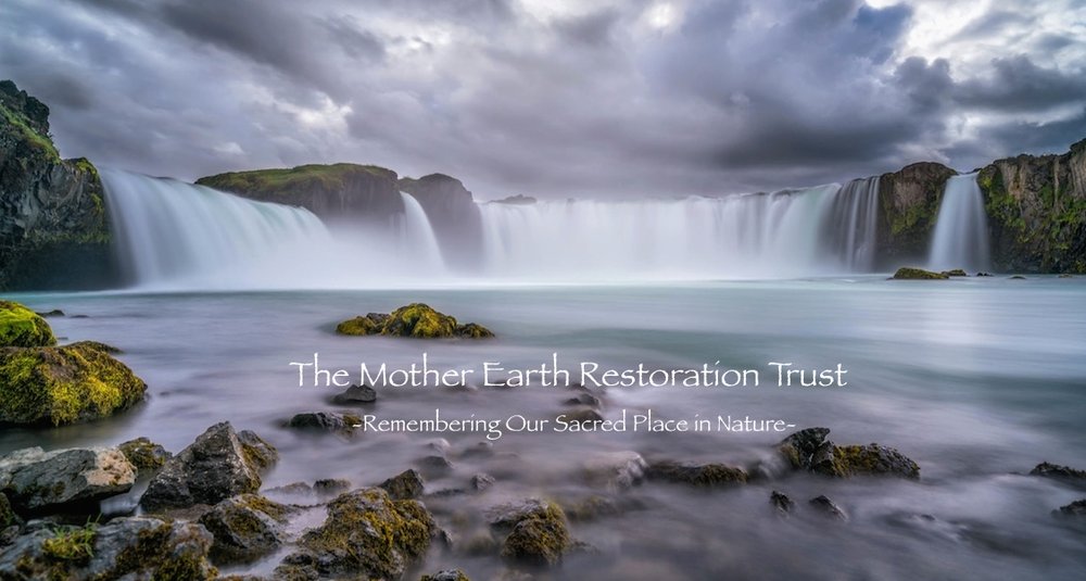 Sacred Spring — Mystic Art Medicine