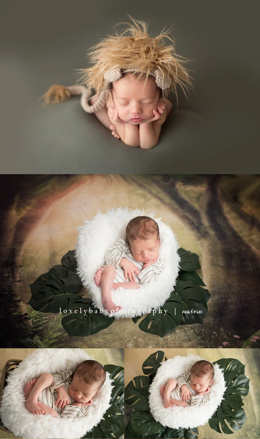 Blog — Lovely Baby Photography - Maternity & Newborn Portrait Studio ...