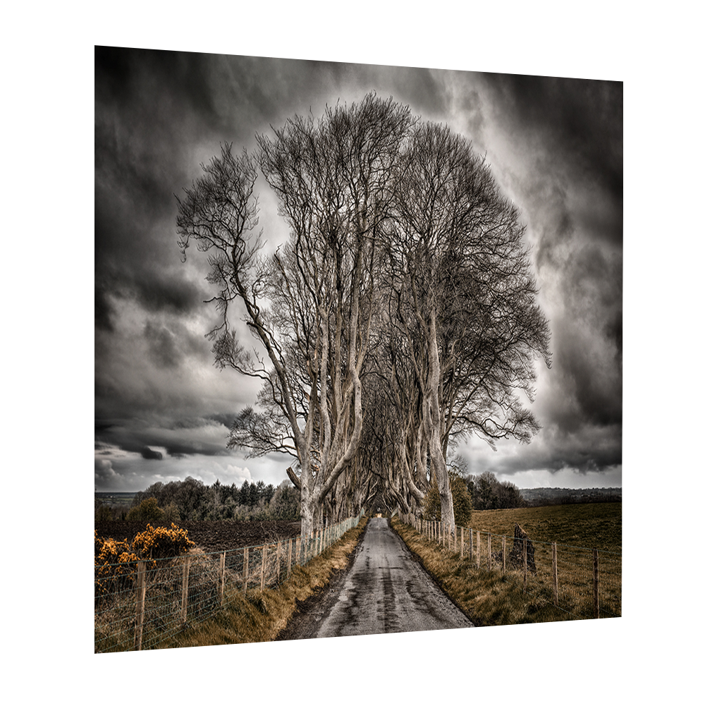 Product Info — Scanlan Windows to the World