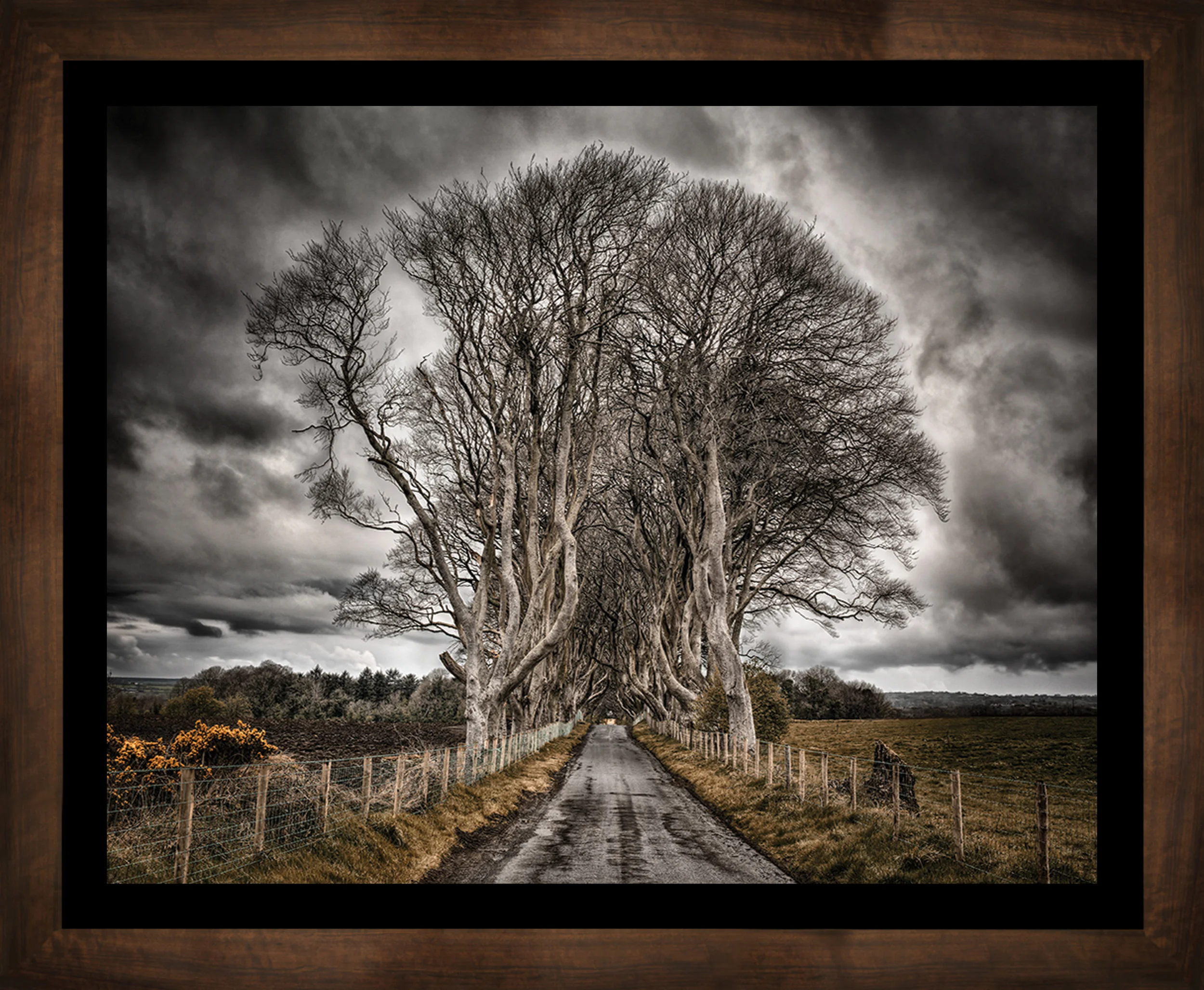 Product Info — Scanlan Windows to the World