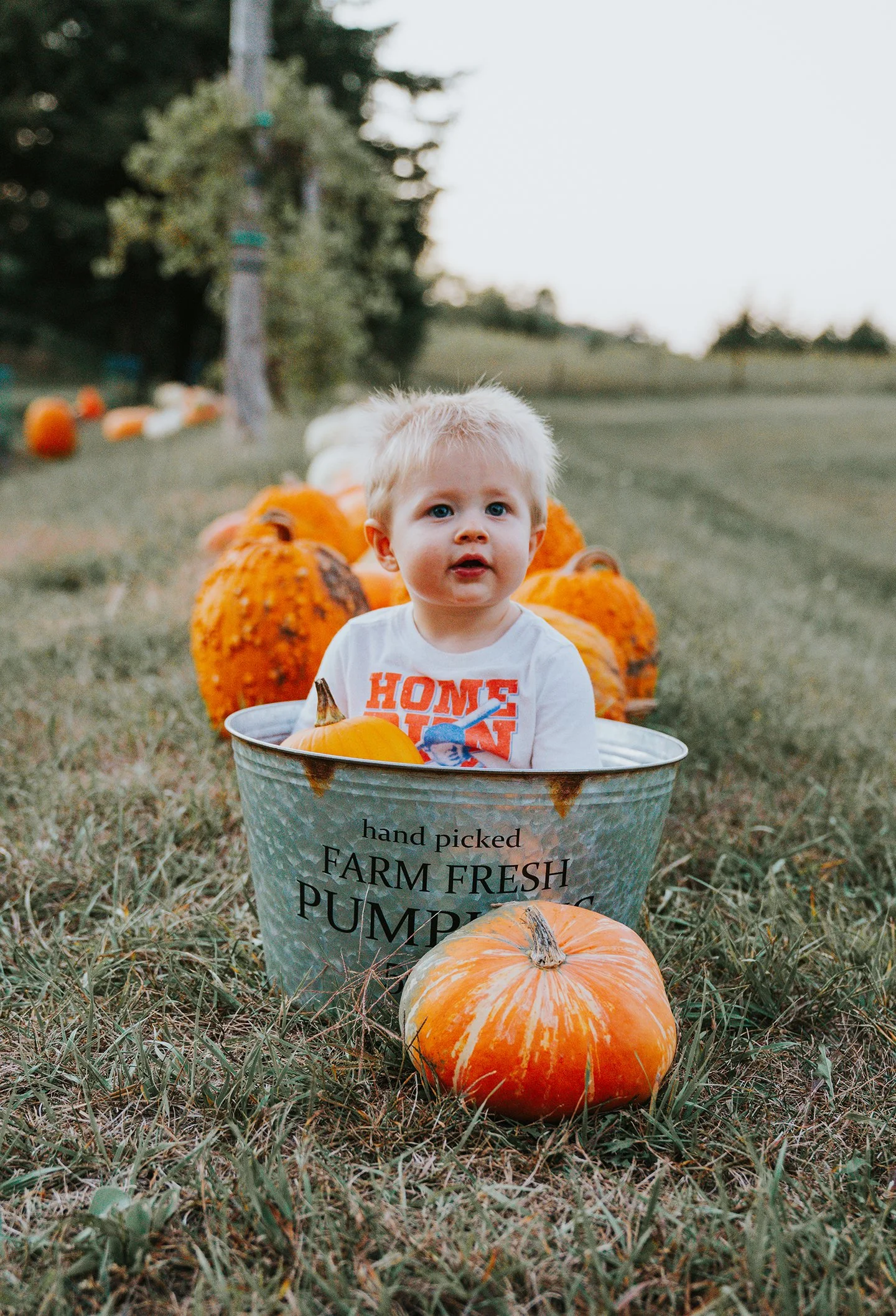 Our Story — Scanlan Windows to the World