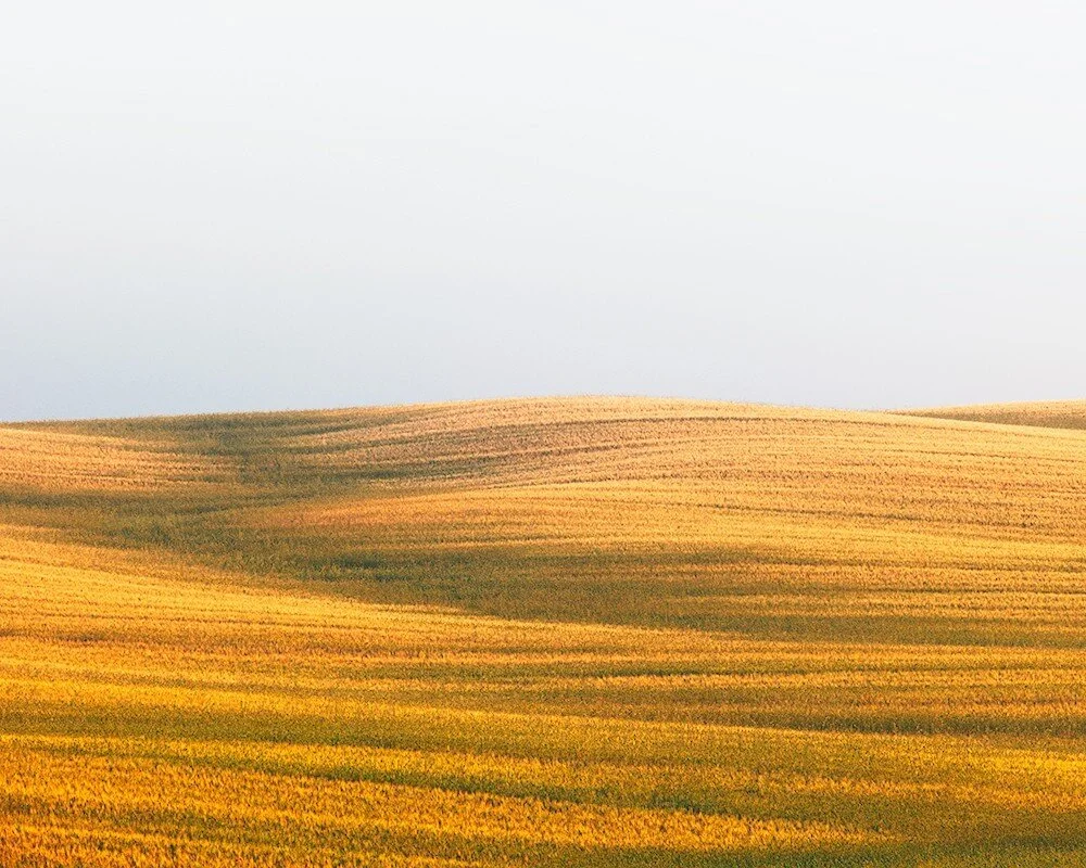 Scanlan Windows to the World