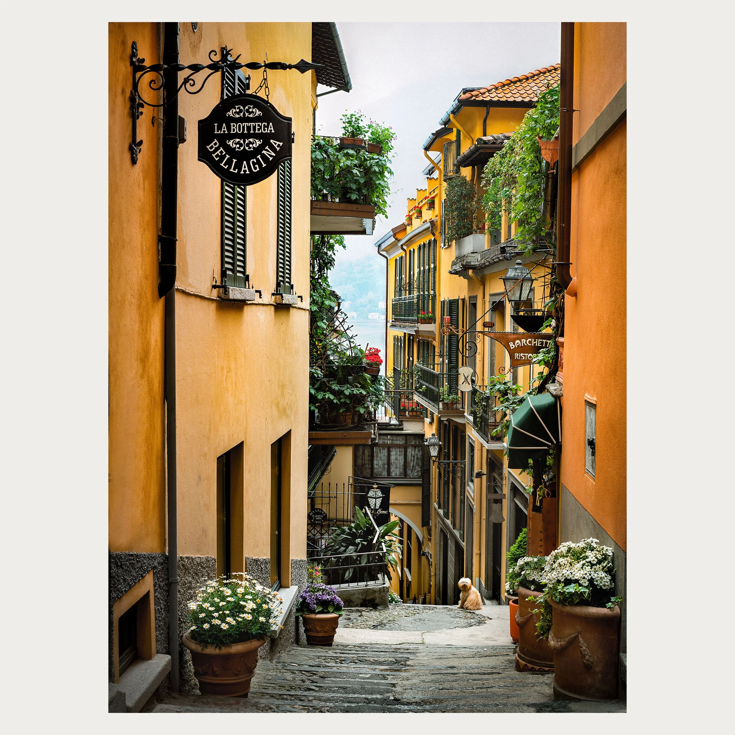 The Mediterranean — Scanlan Windows to the World