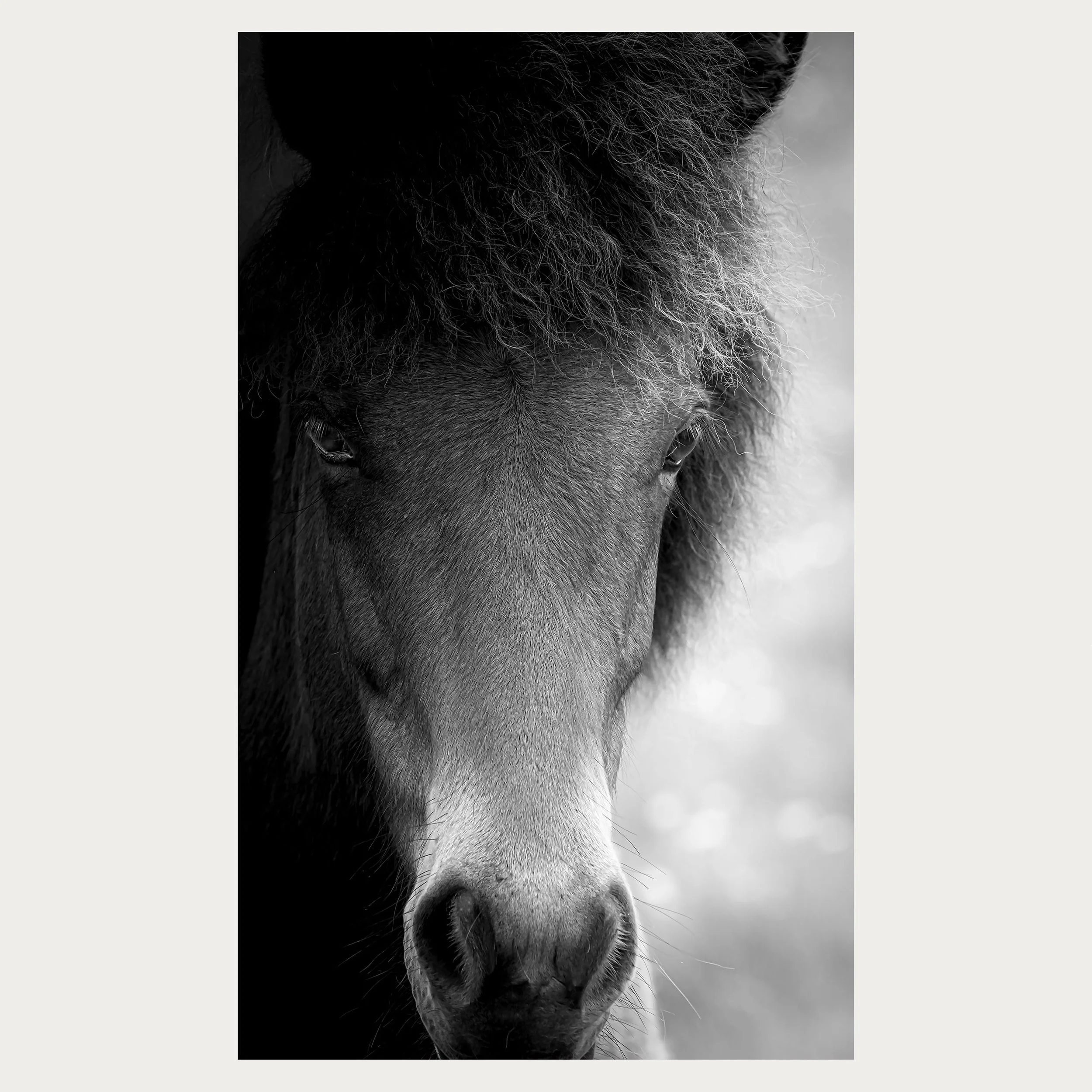 Northern/Eastern Europe — Scanlan Windows to the World