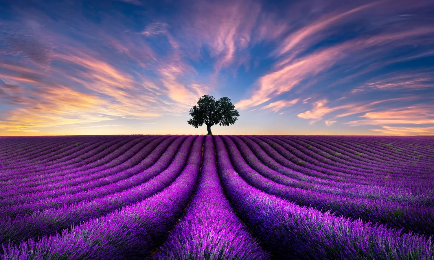 Scanlan Windows to the World