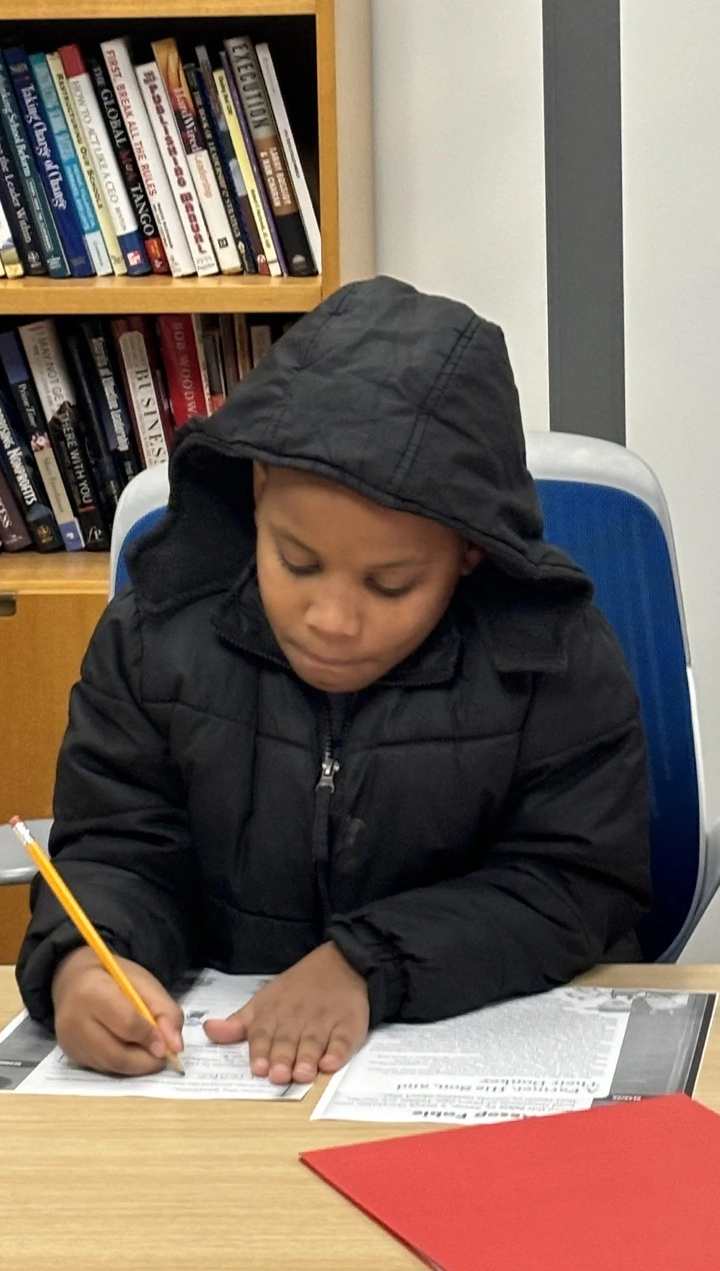 Accelerated Learning Lab — ulkc