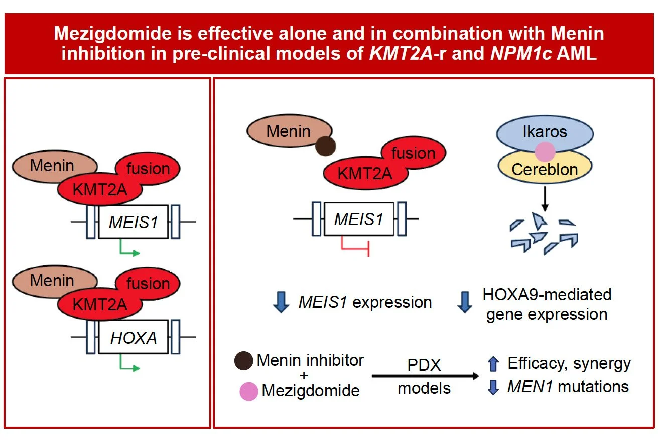 Publications — Armstrong Lab