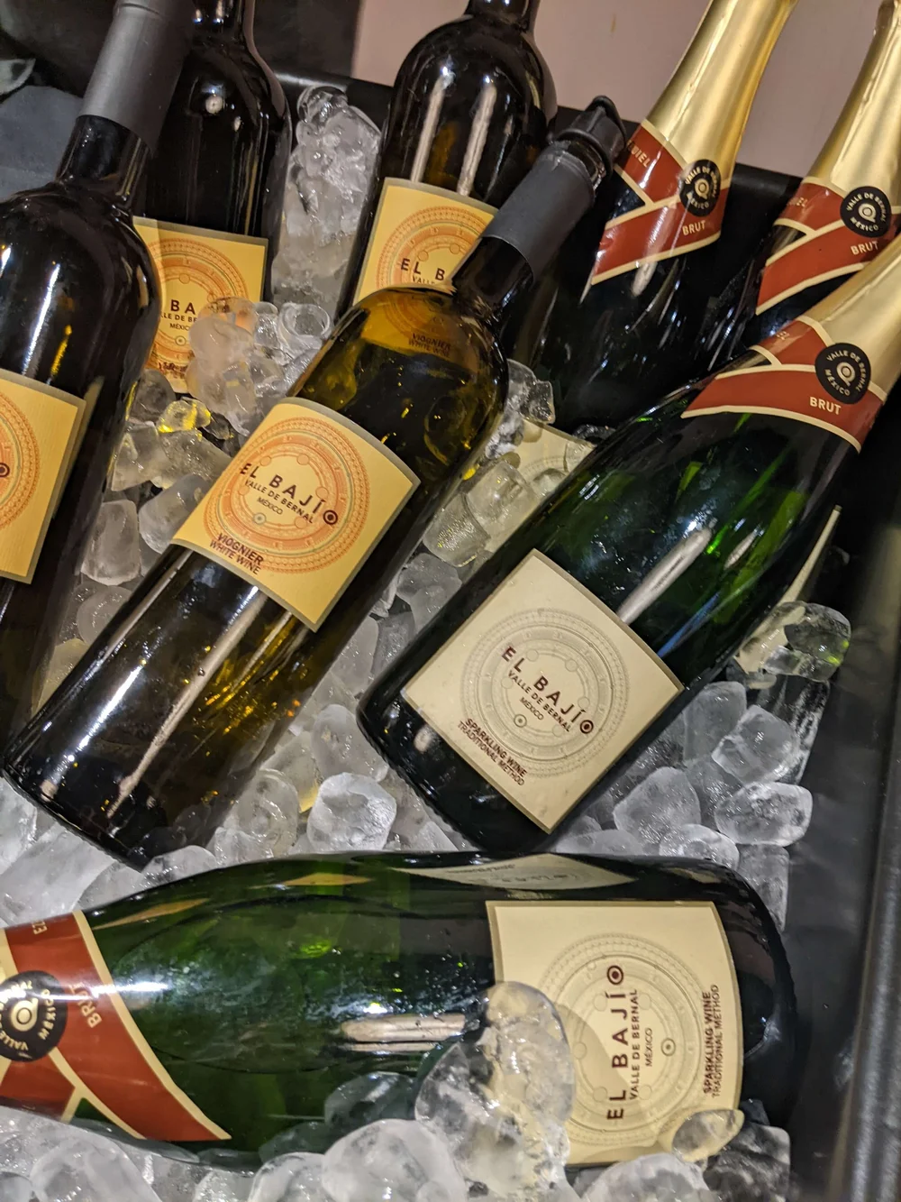 How the Mexican Wine Industry Is Gaining Traction | Alcohol Professor