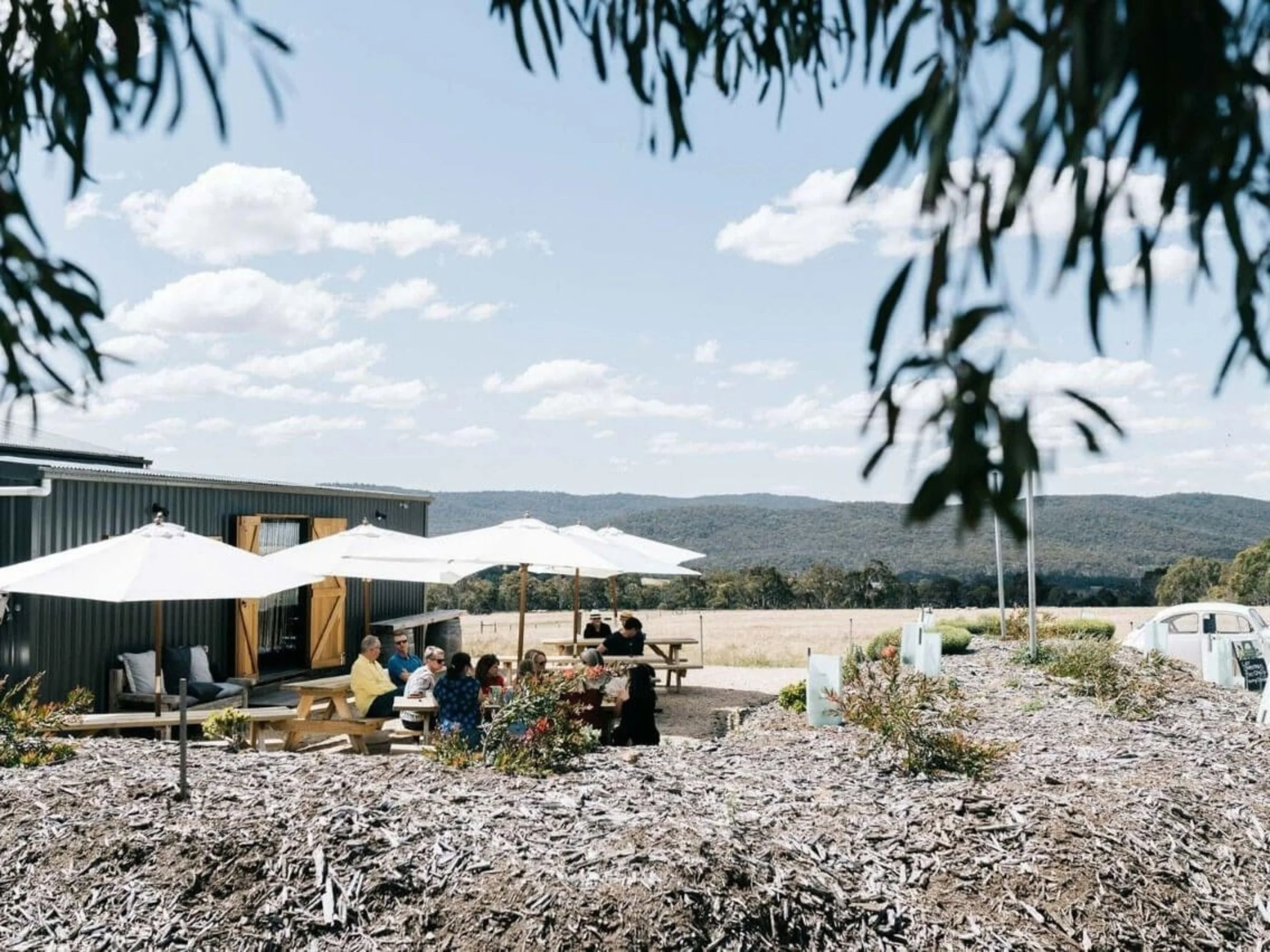 A Drinker's Guide to Charming Daylesford, Victoria | Alcohol Professor