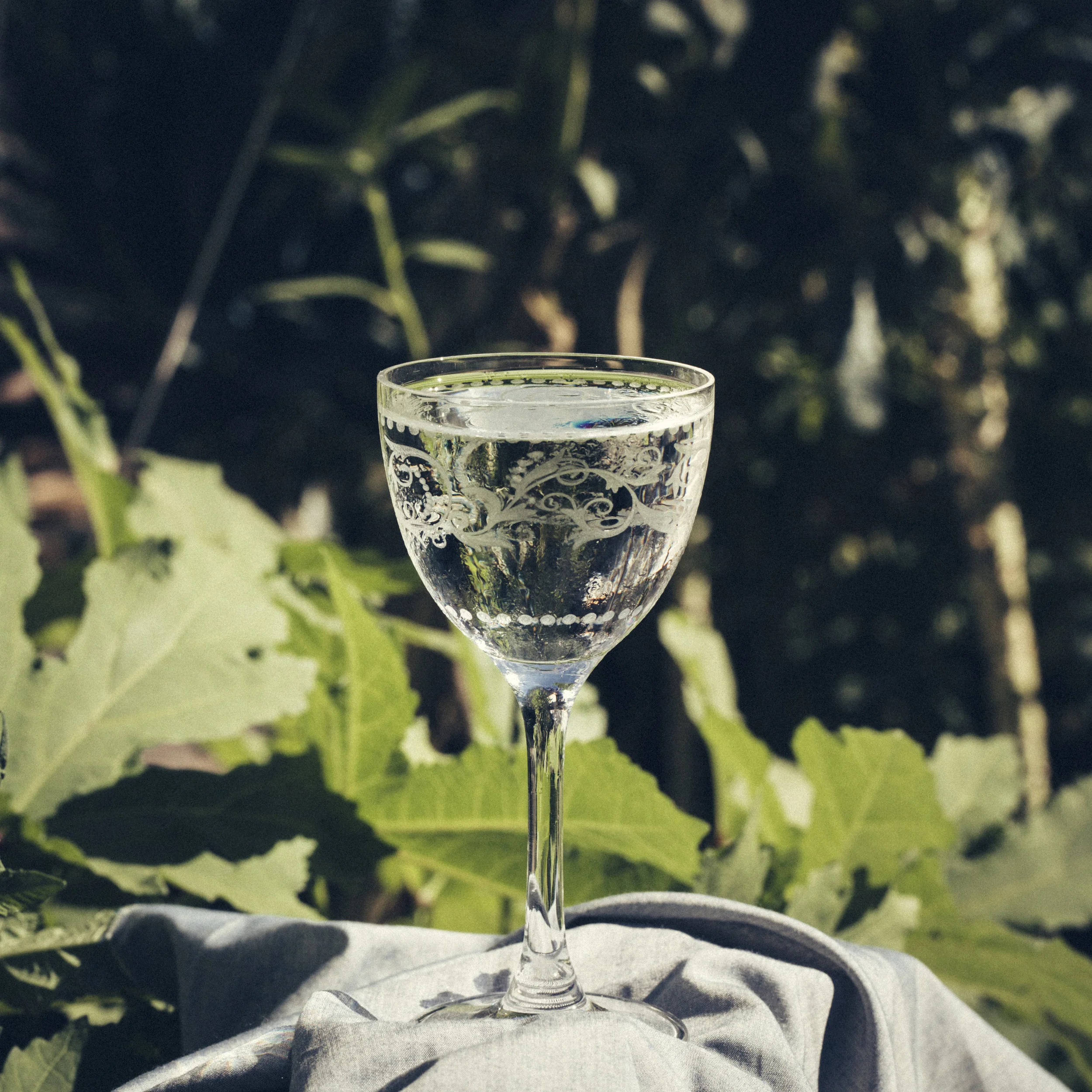 Carrot Cocktails To Get To the Root of Spring Entertaining | Alcohol ...