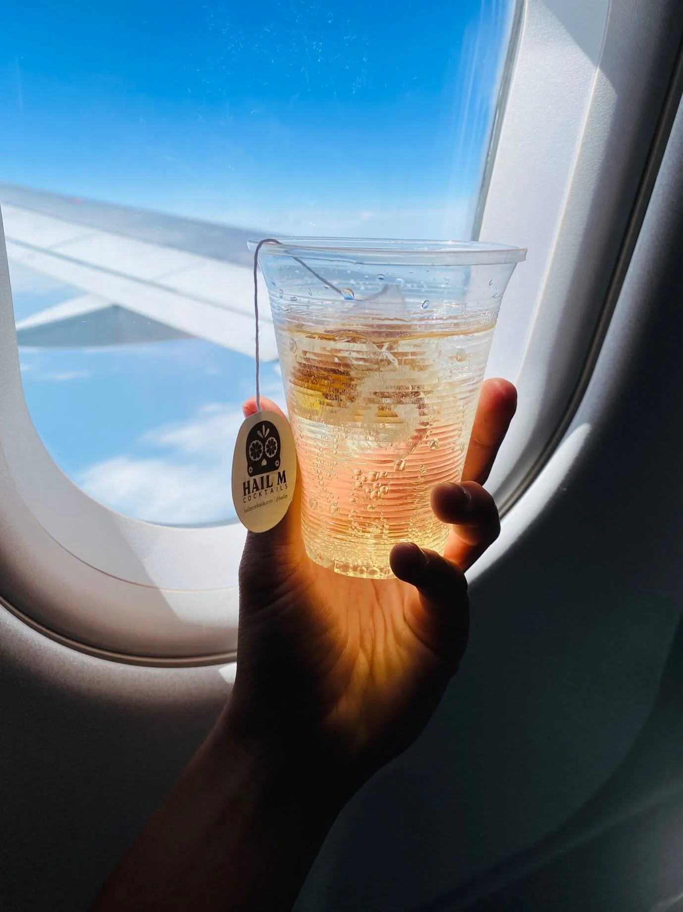Crew Juice: 6 Best Flight Attendant Inflight Cocktail Recipes | Alcohol ...