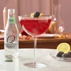What Makes a Great Tonic Water and Why it Matters | Alcohol Professor