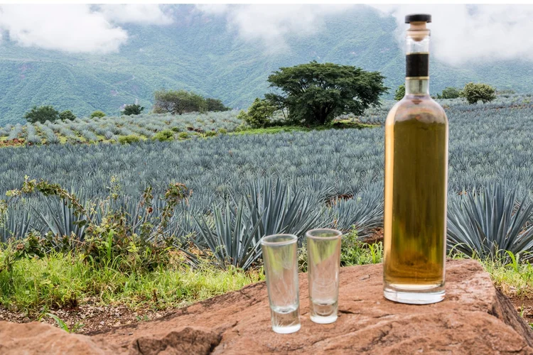 Smoky Tequilas for Peat Loving Whiskey Drinkers to Try | Alcohol Professor